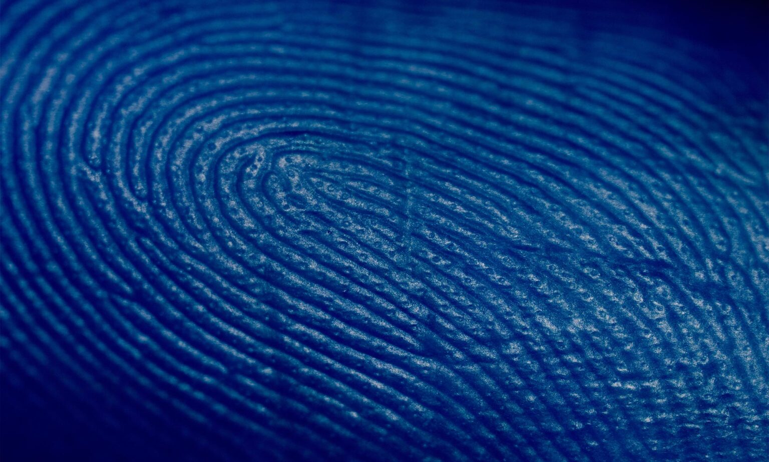 Level 1 Active Shooter Training Kit and Level 2 Medical Kit | KDL ...